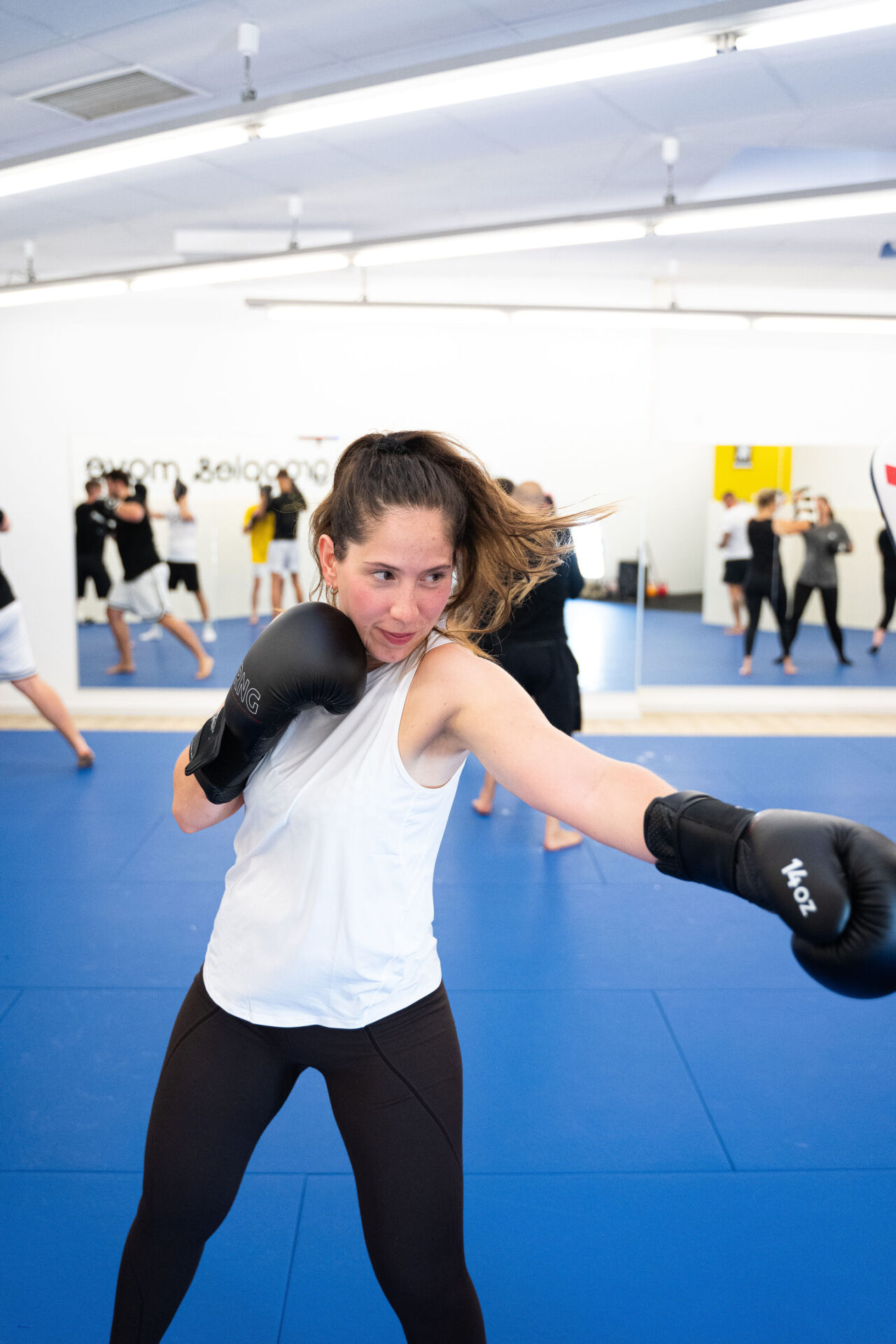 Fitnessboxen – grapple & move